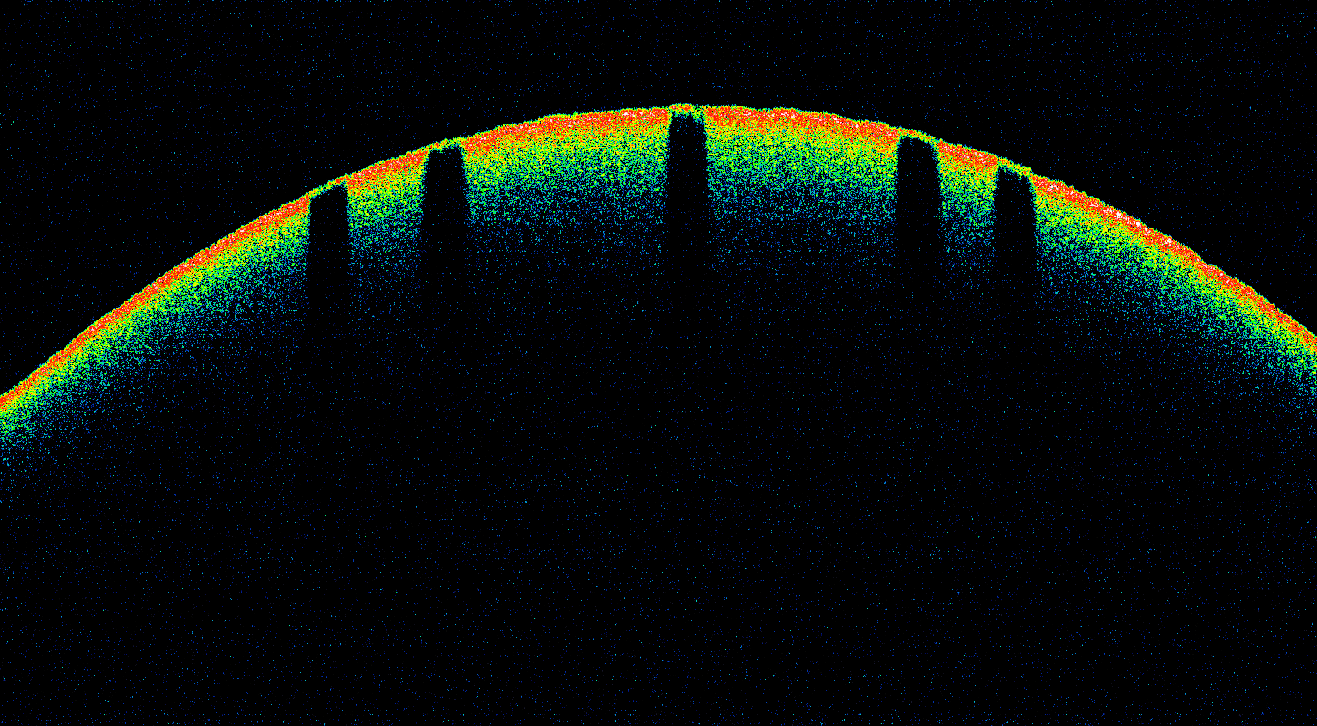 Volume Phase Holographic Transmission Gratings